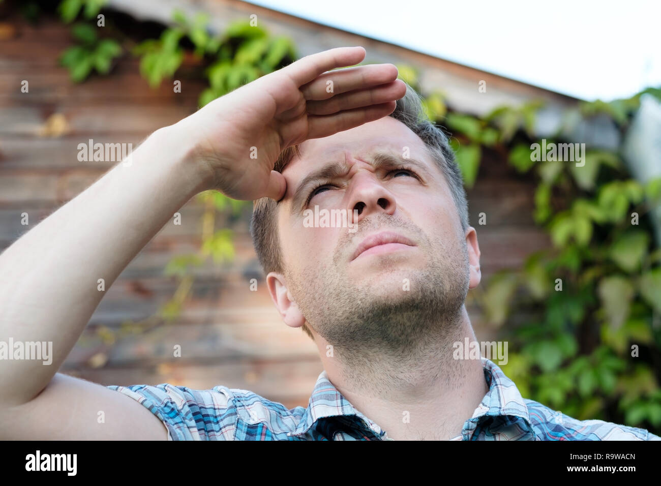 Looking up in forest hi-res stock photography and images - Alamy