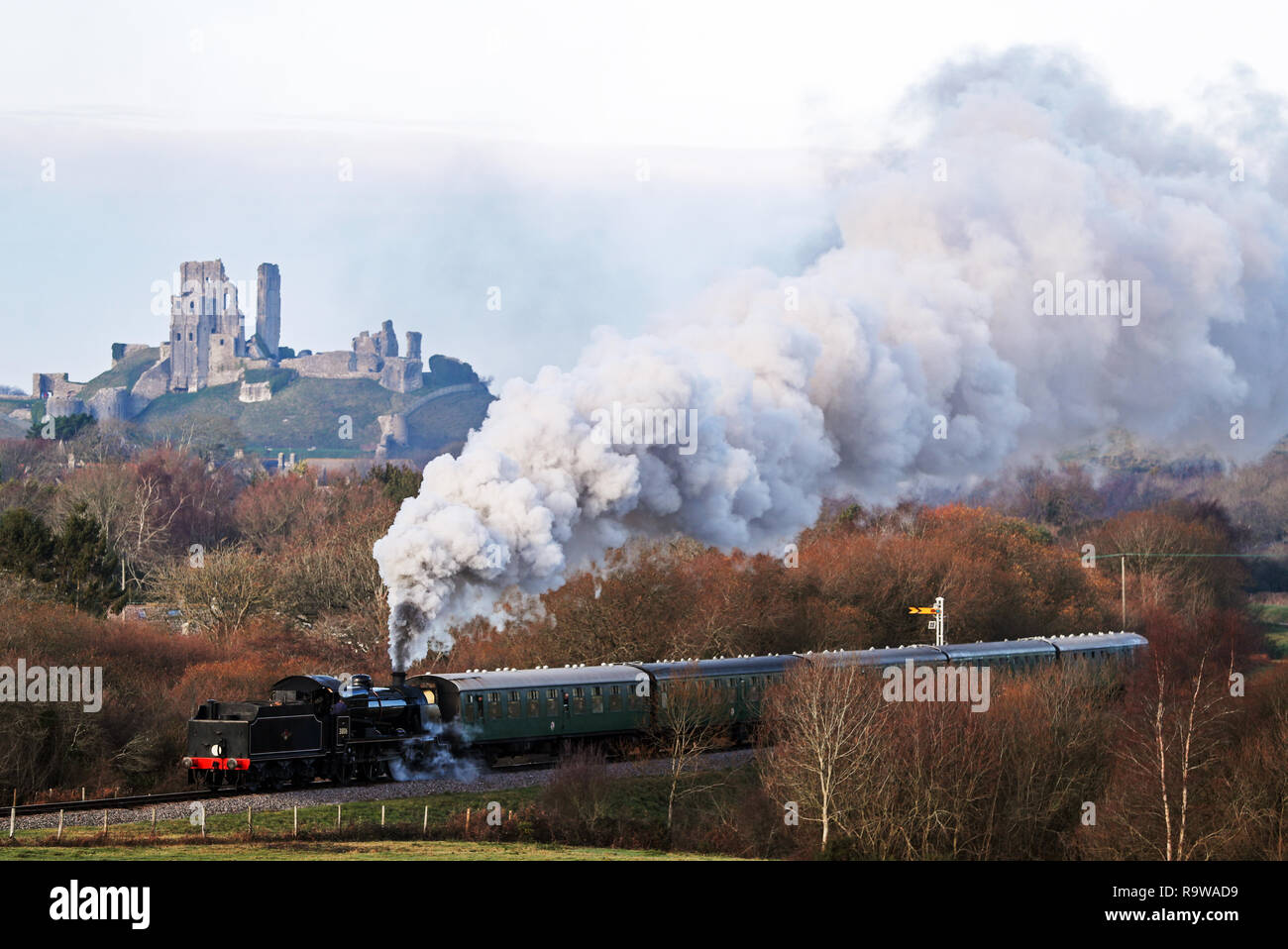 The steam locomotive U Class 31806 makes its way past Corfe Castle ...