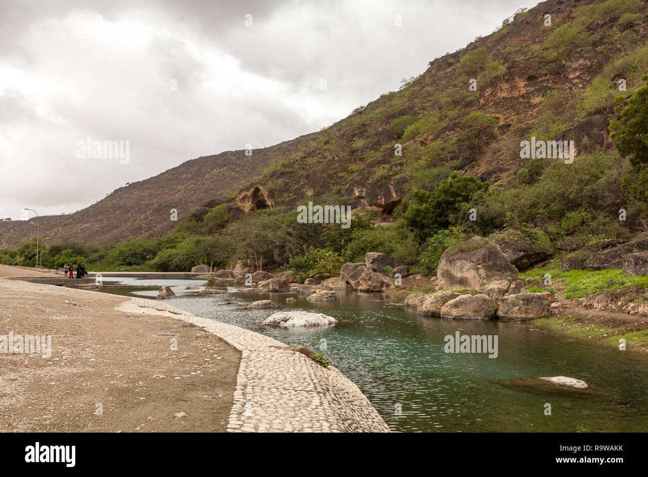 Spring near Salalah, Dhofar Province, Oman, during Khareef monsoon ...