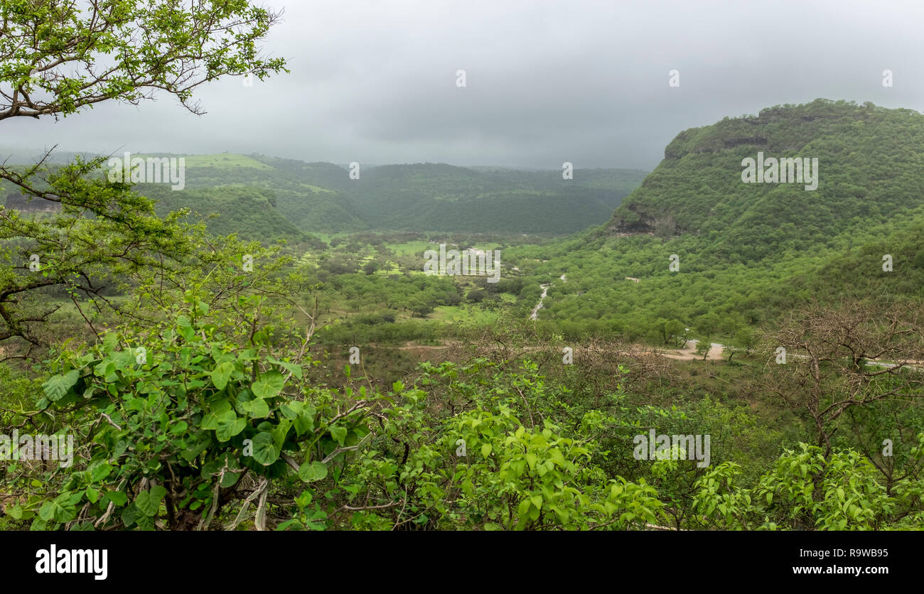 Wadi Darbat, near Salalah, Dhofar Province, Oman, during the khareef or ...