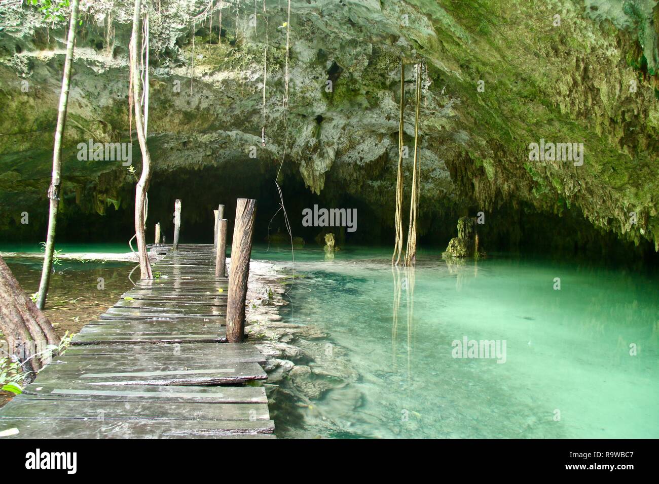 An underground fresh water cave system in Mexico Stock Photo - Alamy