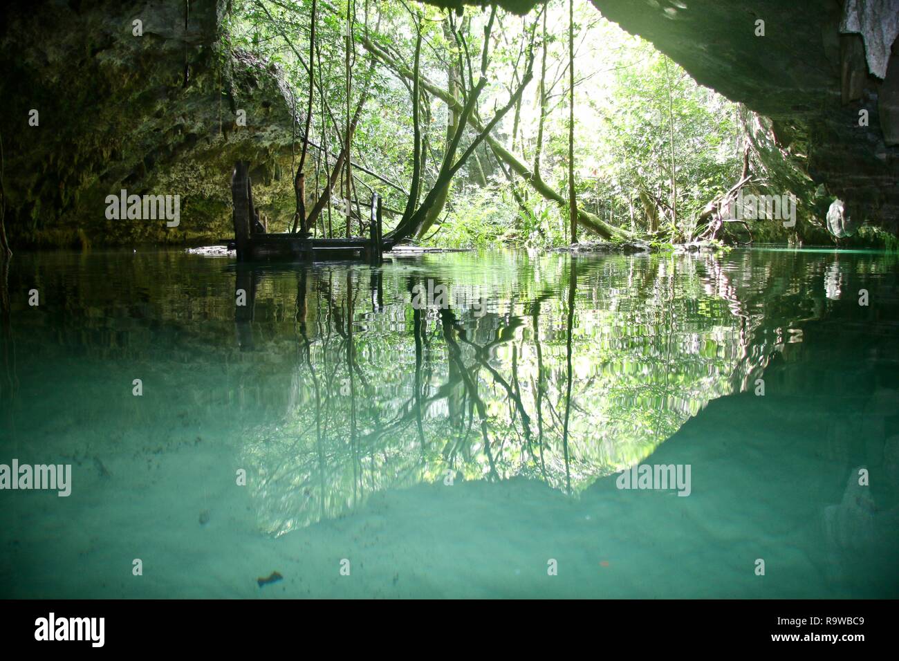 An underground fresh water cave system in Mexico Stock Photo - Alamy