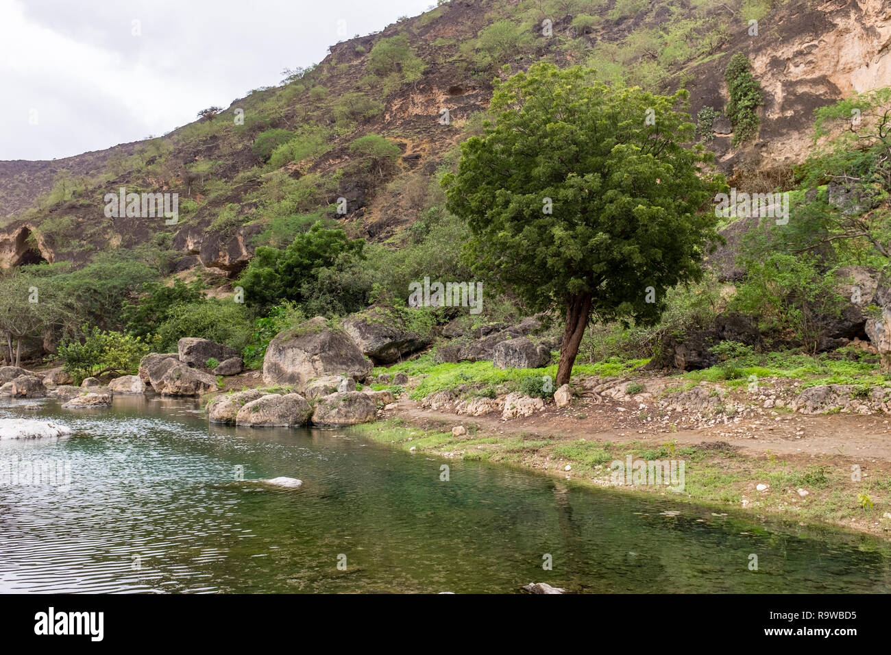 Spring and caves near Salalah, Dhofar Province, Oman, during the ...