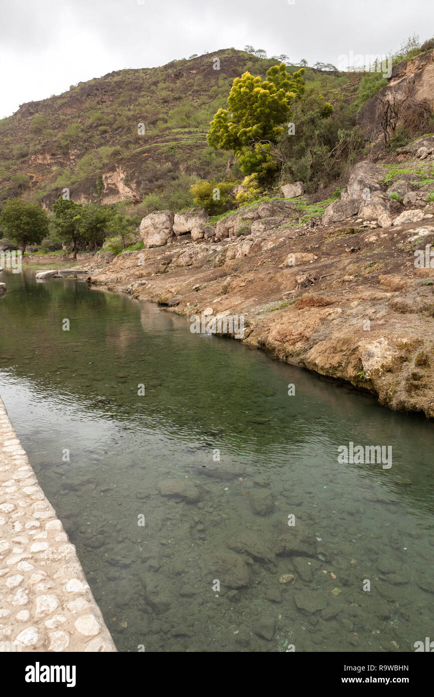 Spring near Salalah, Dhofar Province, Oman, during Khareef monsoon ...