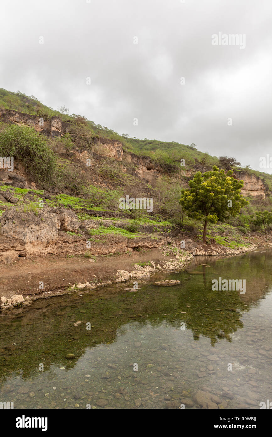 Spring near Salalah, Dhofar Province, Oman, during Khareef monsoon ...