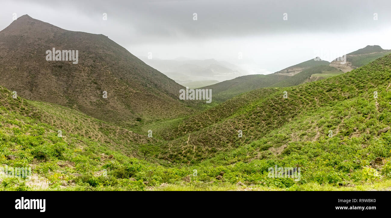 The rains and mist of the Khareef monsoon caused the lush growth of ...