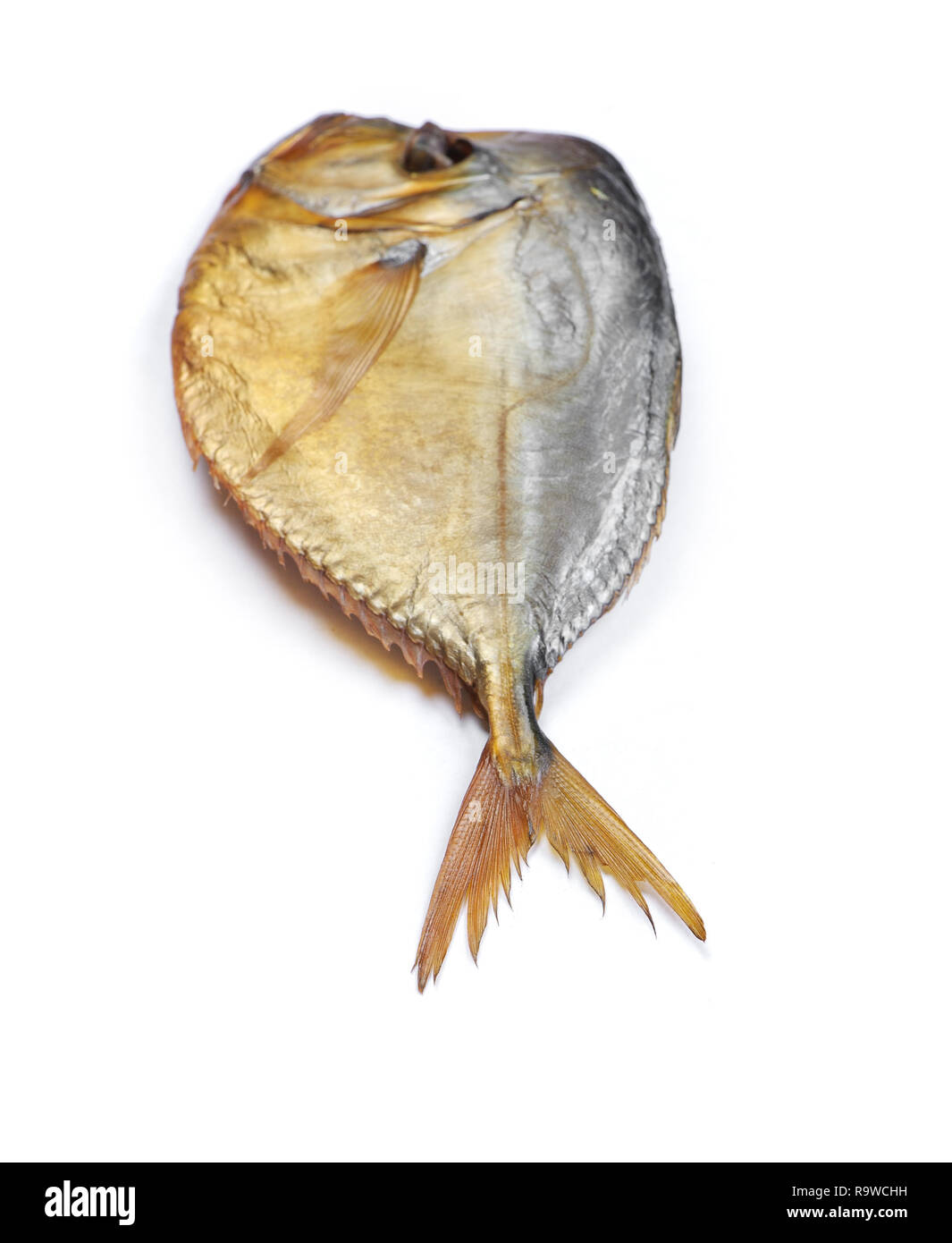 Smoked vomer fish on white isolated background Stock Photo - Alamy