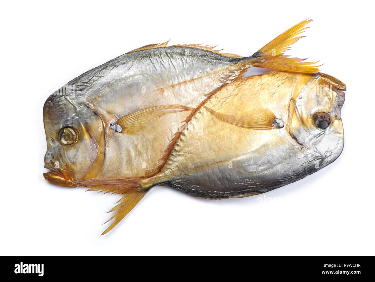 Smoked vomer fish on white isolated background Stock Photo - Alamy