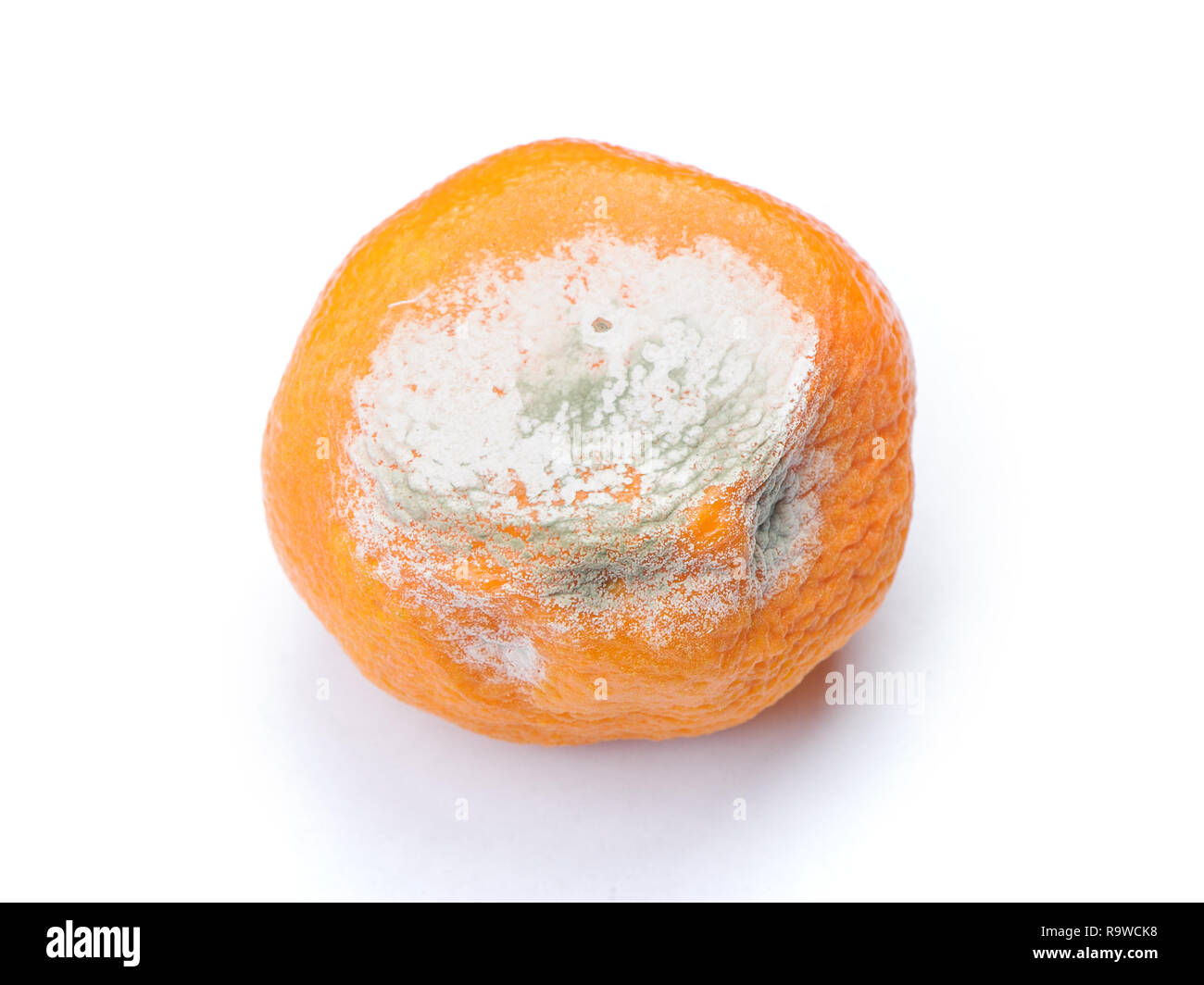 Mouldy rotten mandarin isolated on white background Stock Photo - Alamy