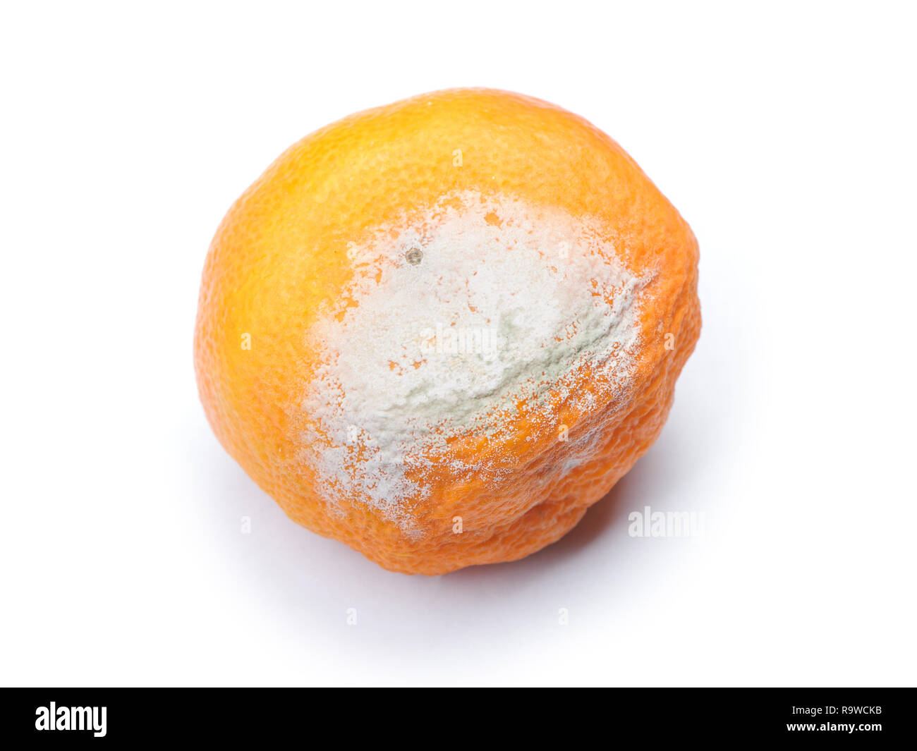 Old mandarin Cut Out Stock Images & Pictures - Alamy