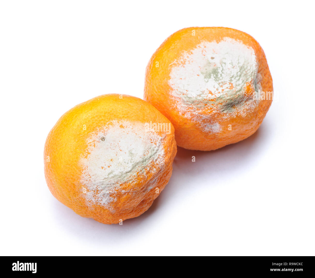 Moldy mandarin Cut Out Stock Images & Pictures - Alamy