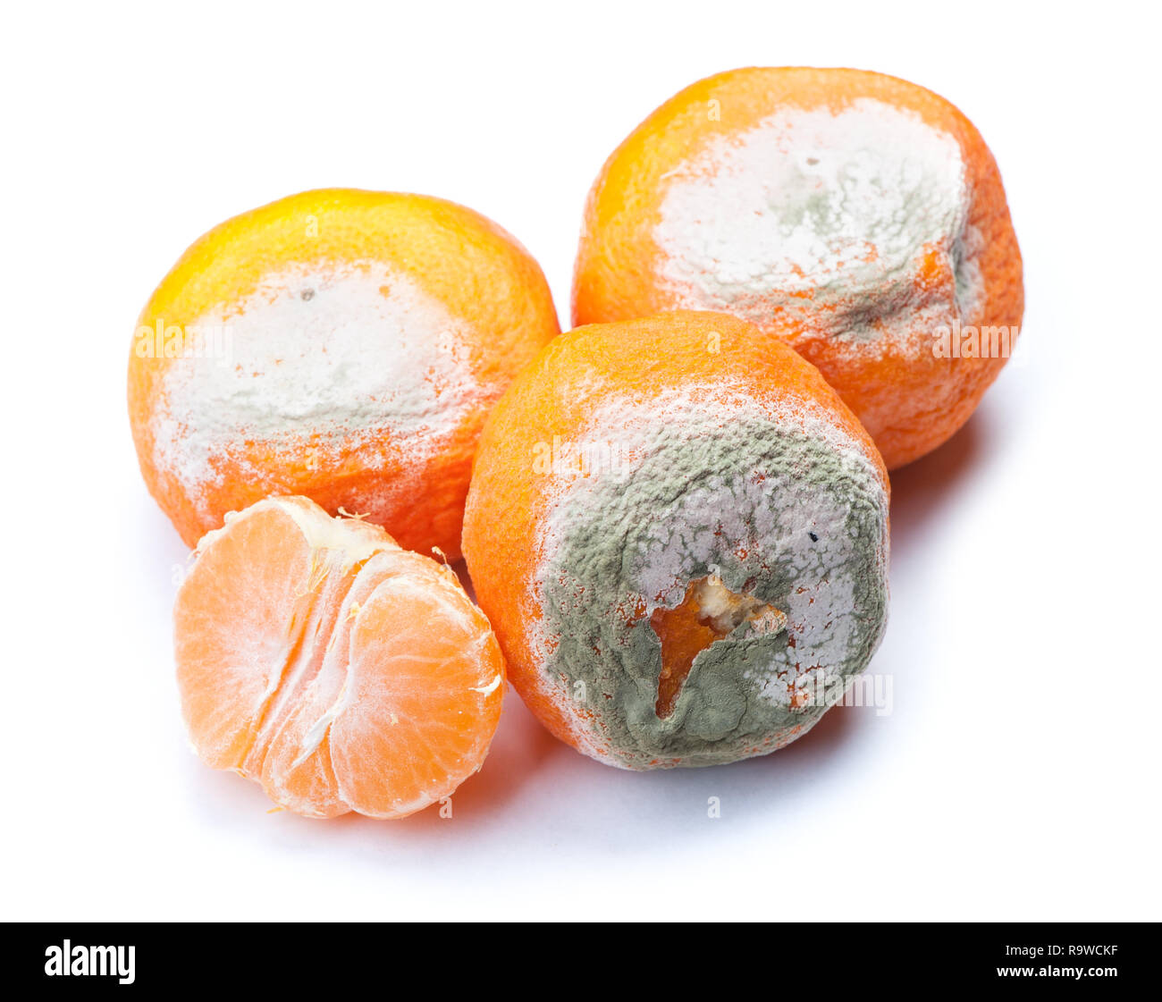 Moldy mandarin Cut Out Stock Images & Pictures - Alamy