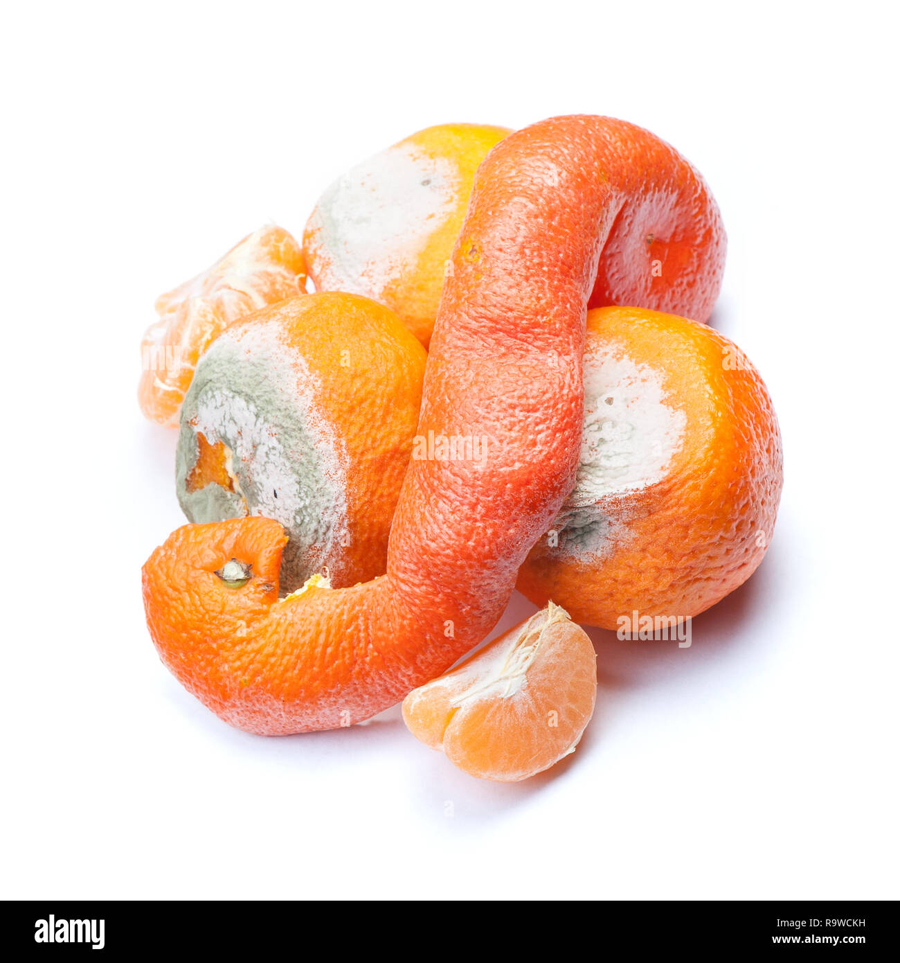 Group of mouldy rotten mandarins isolated on white background Stock ...