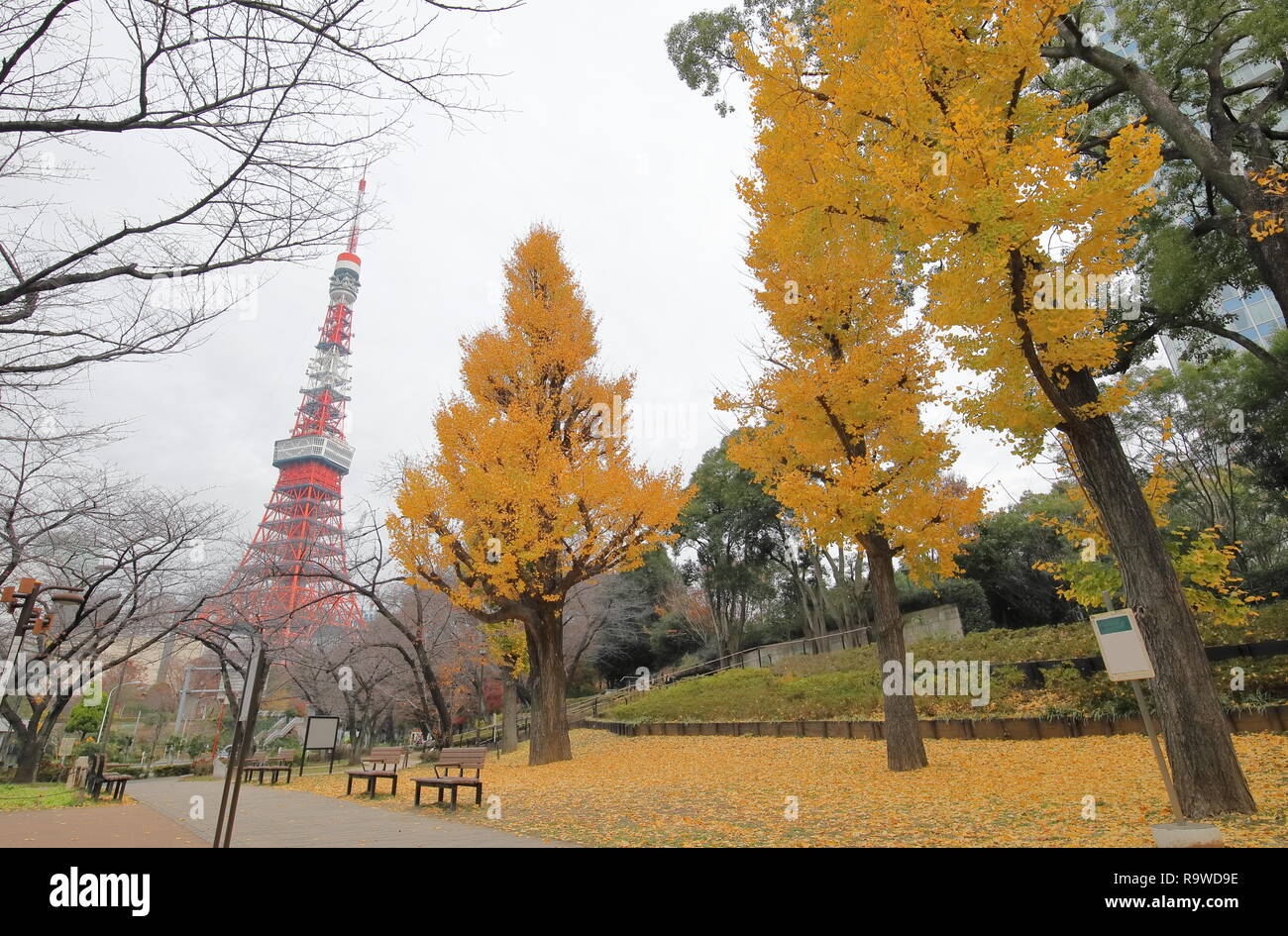 Tokyo tower in Tokyo Japan Stock Photo - Alamy