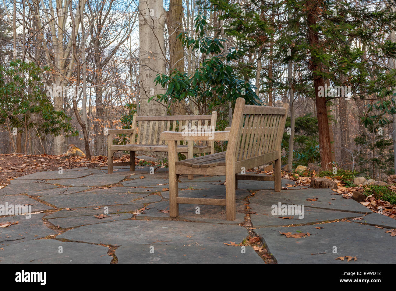 Park of arboretum and benches hi-res stock photography and images - Alamy
