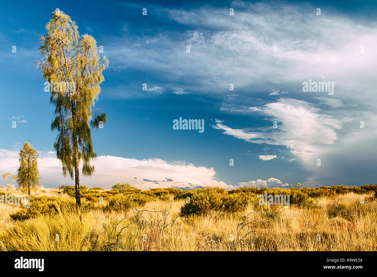 uluru landscape II , australia Stock Photo - Alamy