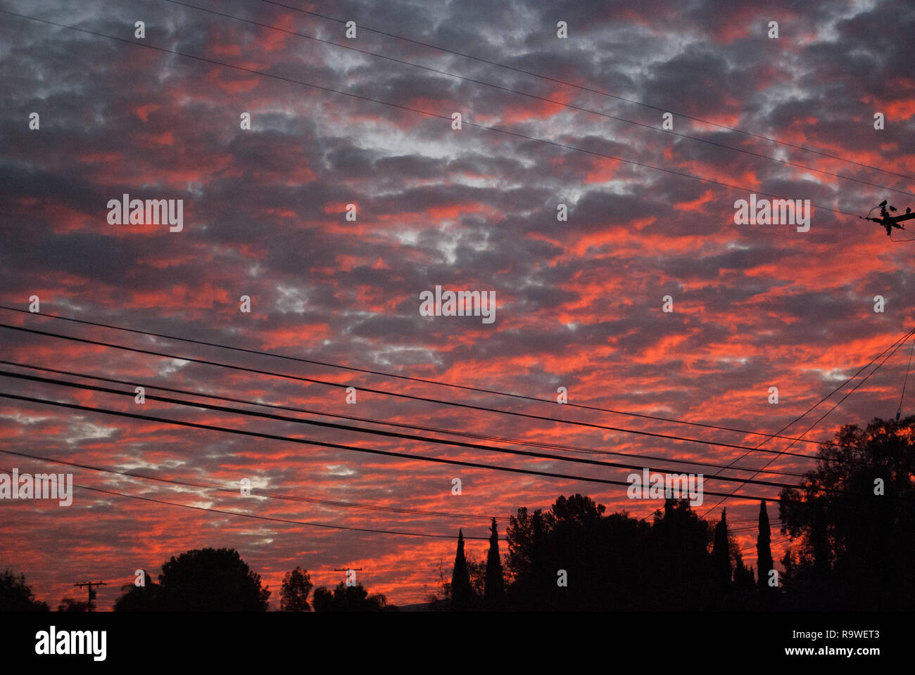 Colors of evening Stock Photo - Alamy