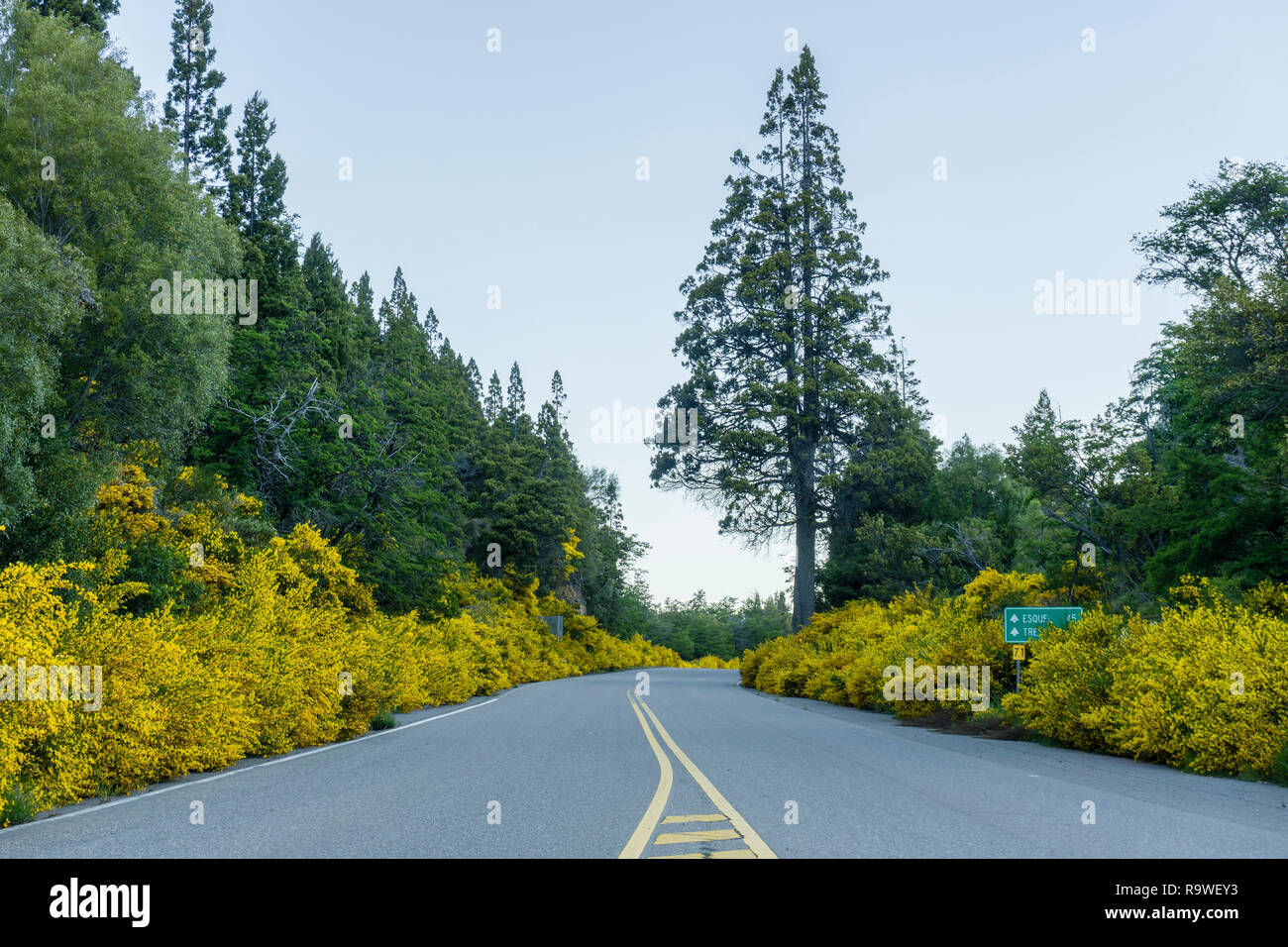 Spring Season in Patagonia, Argentina Stock Photo - Alamy