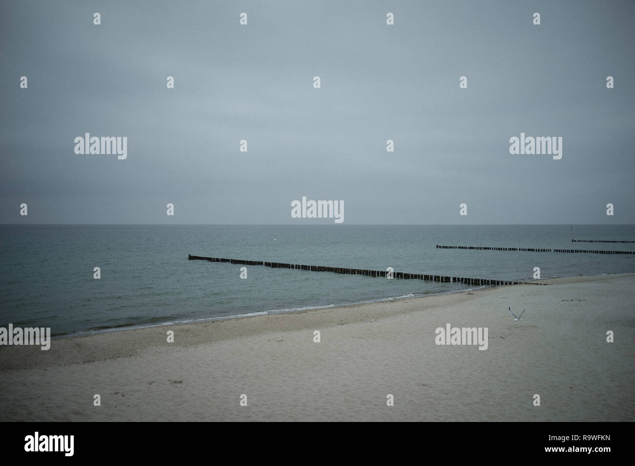 Scene from Zingst beach at a grey day, Zingst, Germany Stock Photo - Alamy