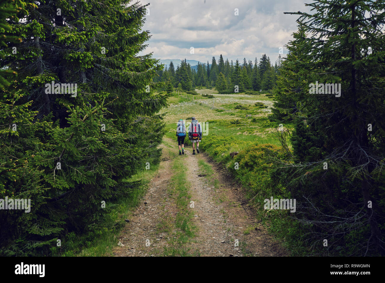 Rear view of two young people walking down the trail path on forest ...
