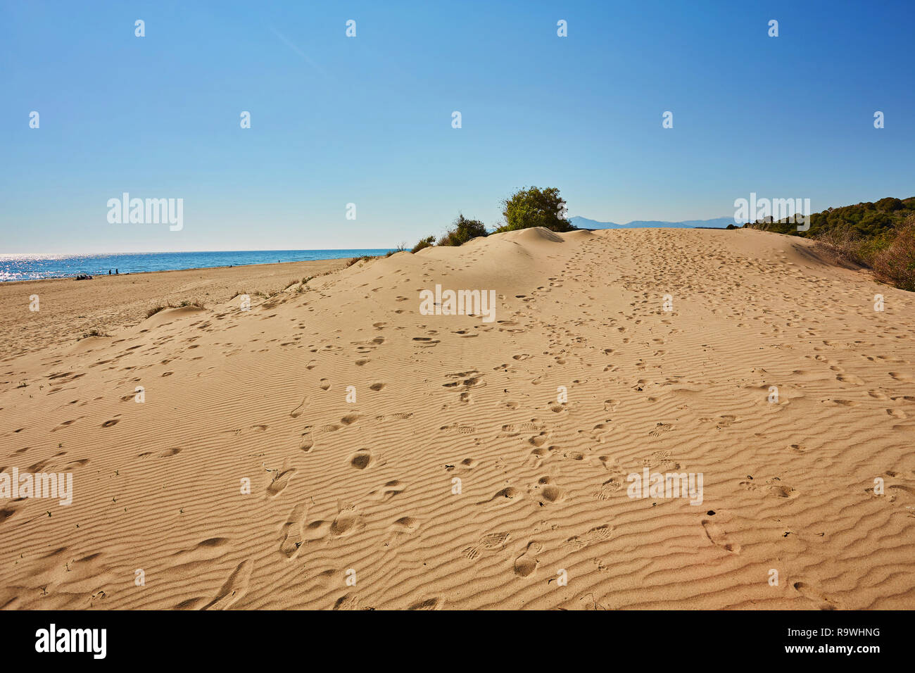 White Sand dunes at on Patara beach. Antalya Province. Turkey Stock ...