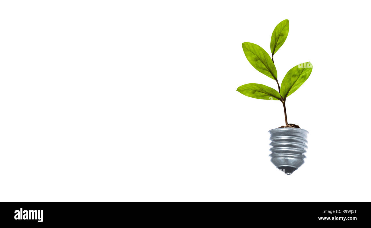 Light Bulb with sprout. Mixed media Stock Photo - Alamy