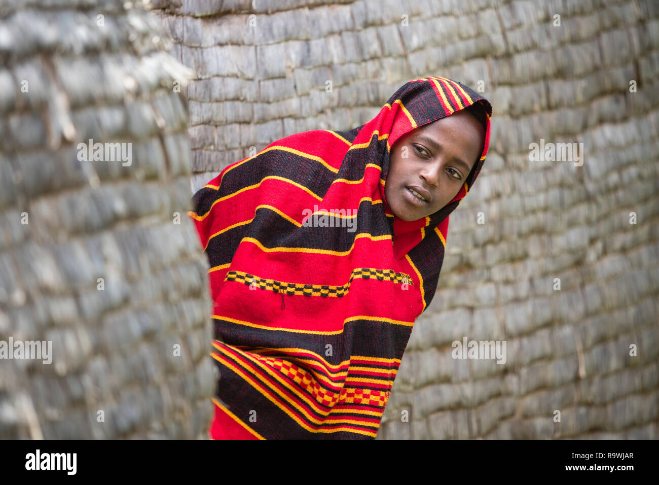 Dorze Tribe village of Omo Valley, Ethiopia Stock Photo - Alamy