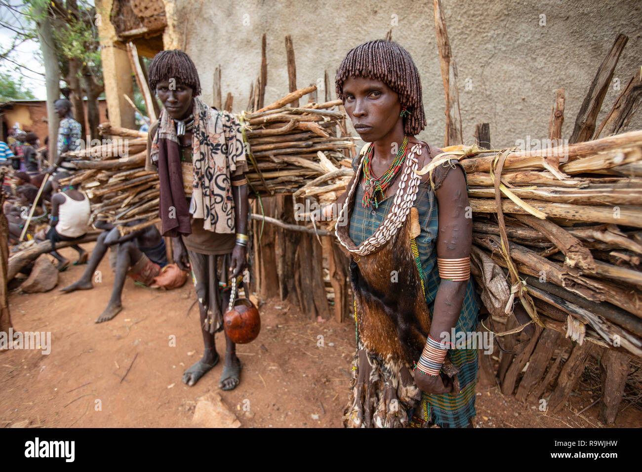 Hamar Tribe women hauling tree branches to their village in Omo Valley ...
