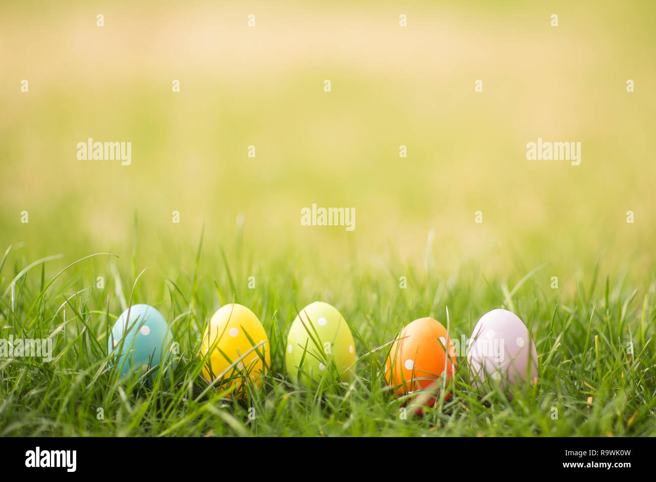 Easter background on grass with copy space Stock Photo - Alamy