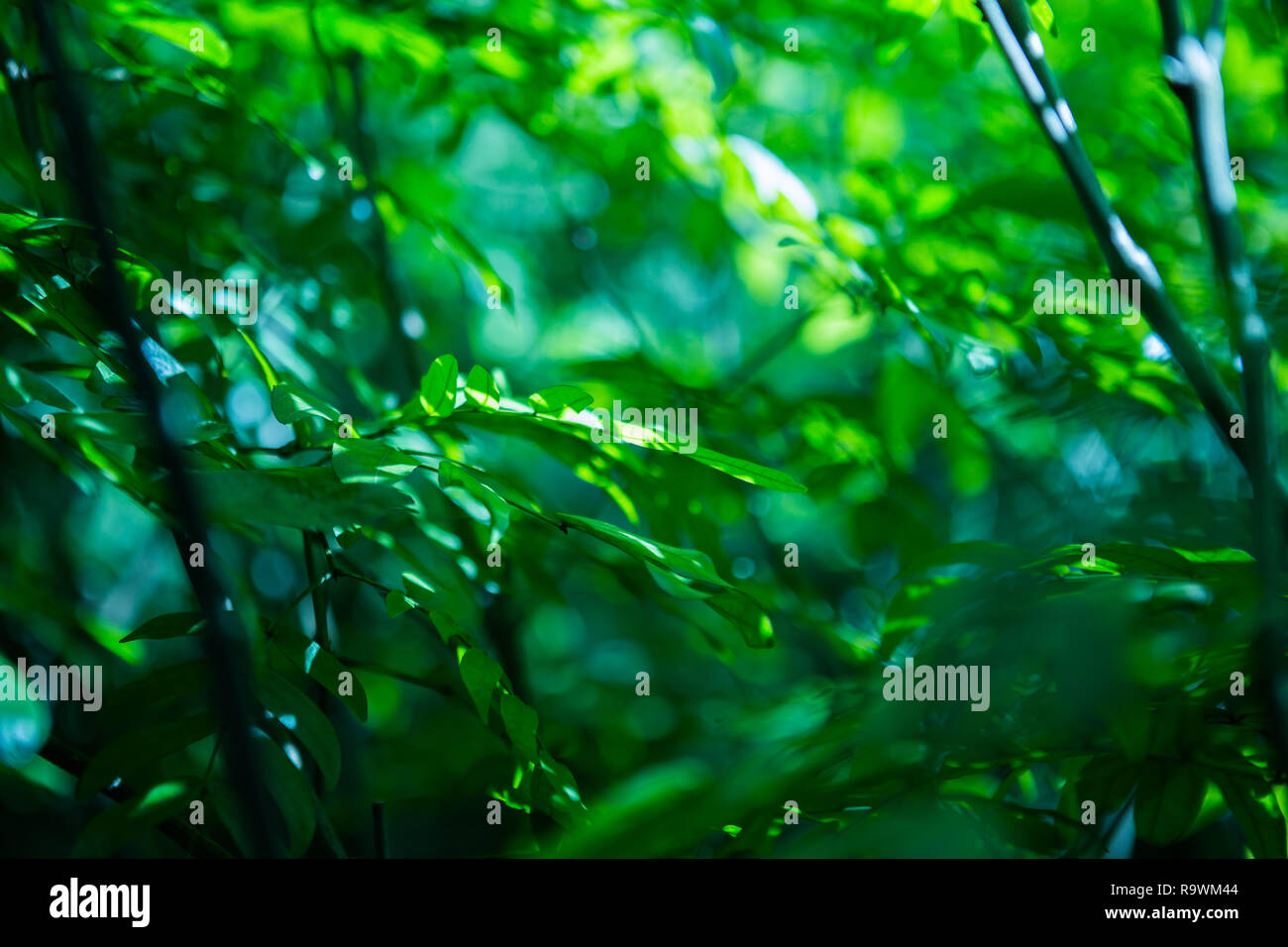 Looking after environment hi-res stock photography and images - Alamy