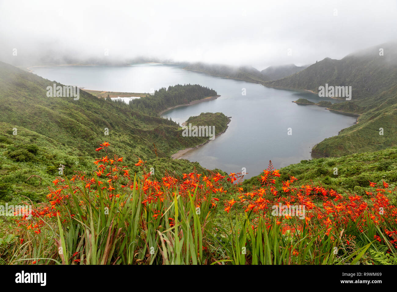 Weather In Sao Miguel Azores In March at Harrison Grove blog