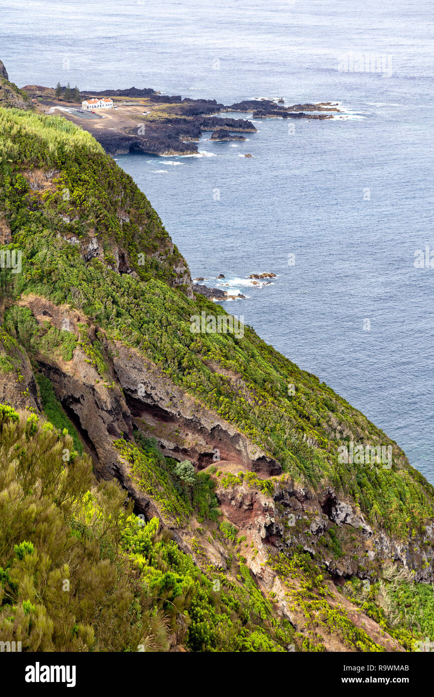 Plants cling to the cliffs near Ponda da Ferraria hot springs in Sao ...