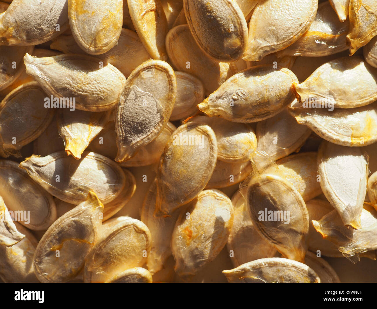 pumpkin (aka Cucurbita pepo) vegetables seeds background Stock Photo ...