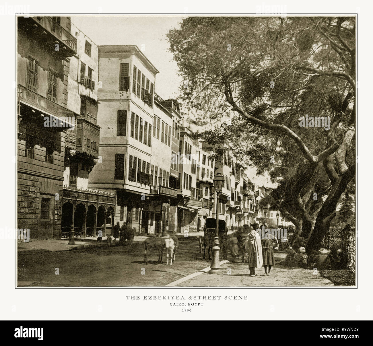 Street scene cairo egypt hi-res stock photography and images - Alamy