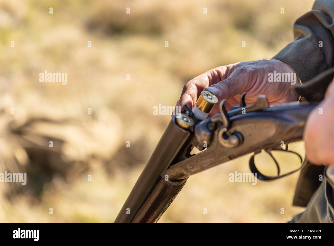 Hunter equips the retro double-barreled shotgun with cartridges, close ...