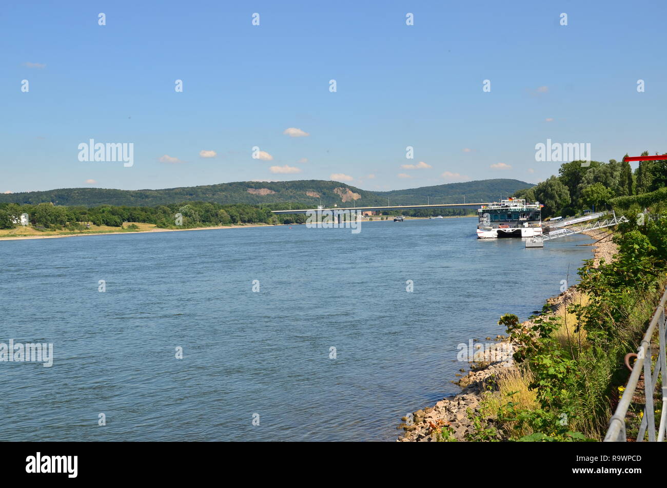 Woman at river rhine hi-res stock photography and images - Alamy