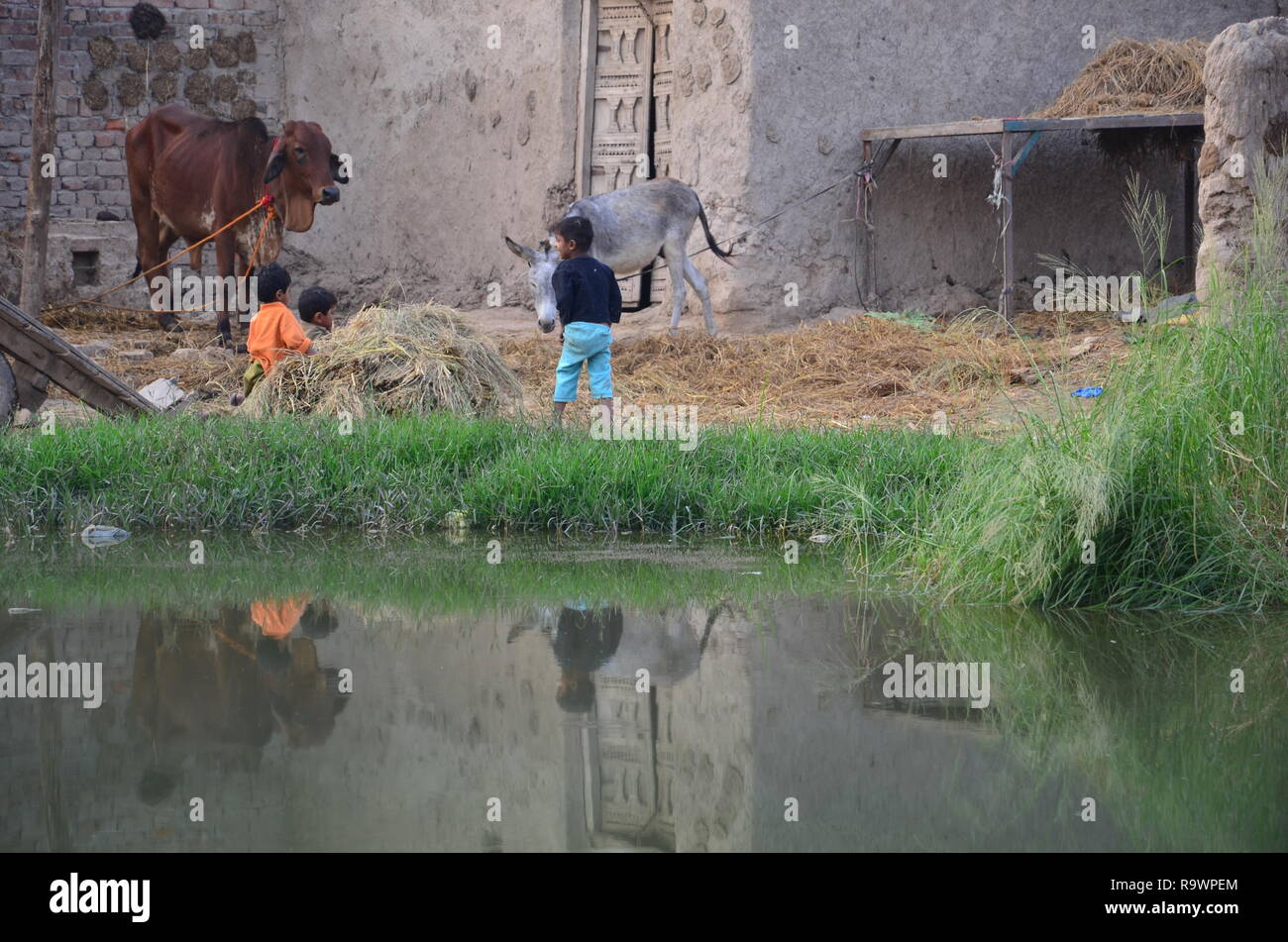 Pakistan water pollution hi-res stock photography and images - Alamy