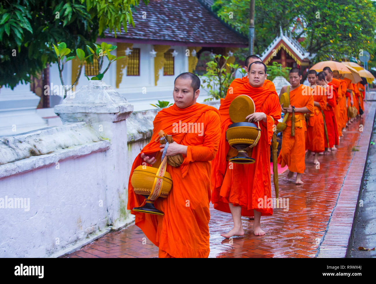 Buddhist alms giving ceremony in Luang Prabang Laos Stock Photo - Alamy