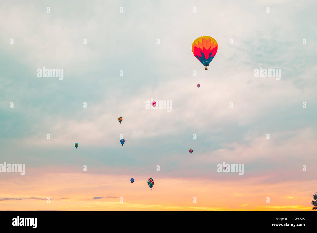 Hot air balloons take flight during sunrise at a hot air balloon ...