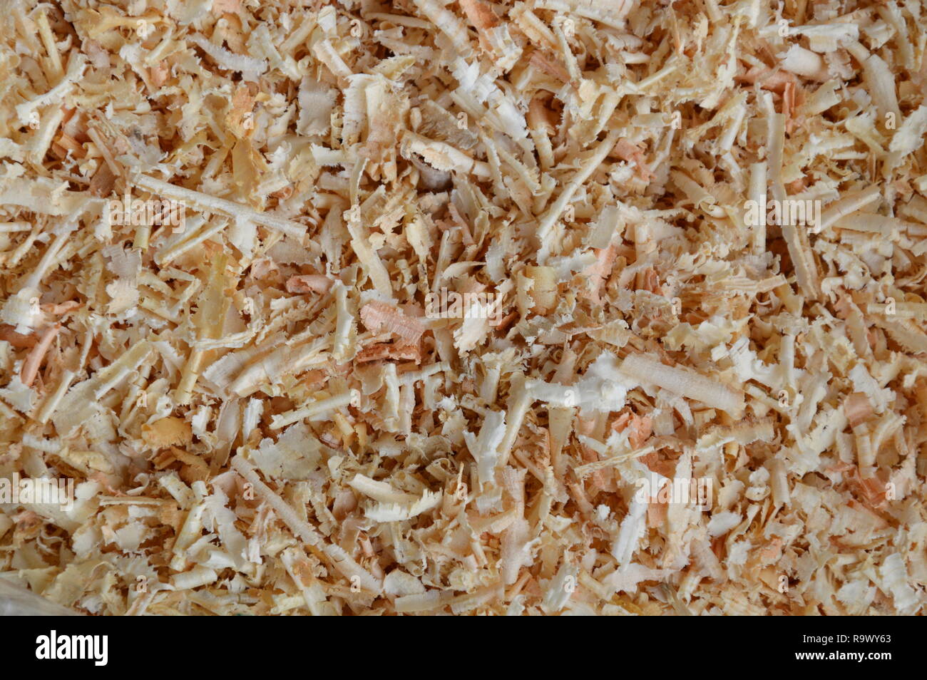 sawdust in plastic bag Stock Photo - Alamy
