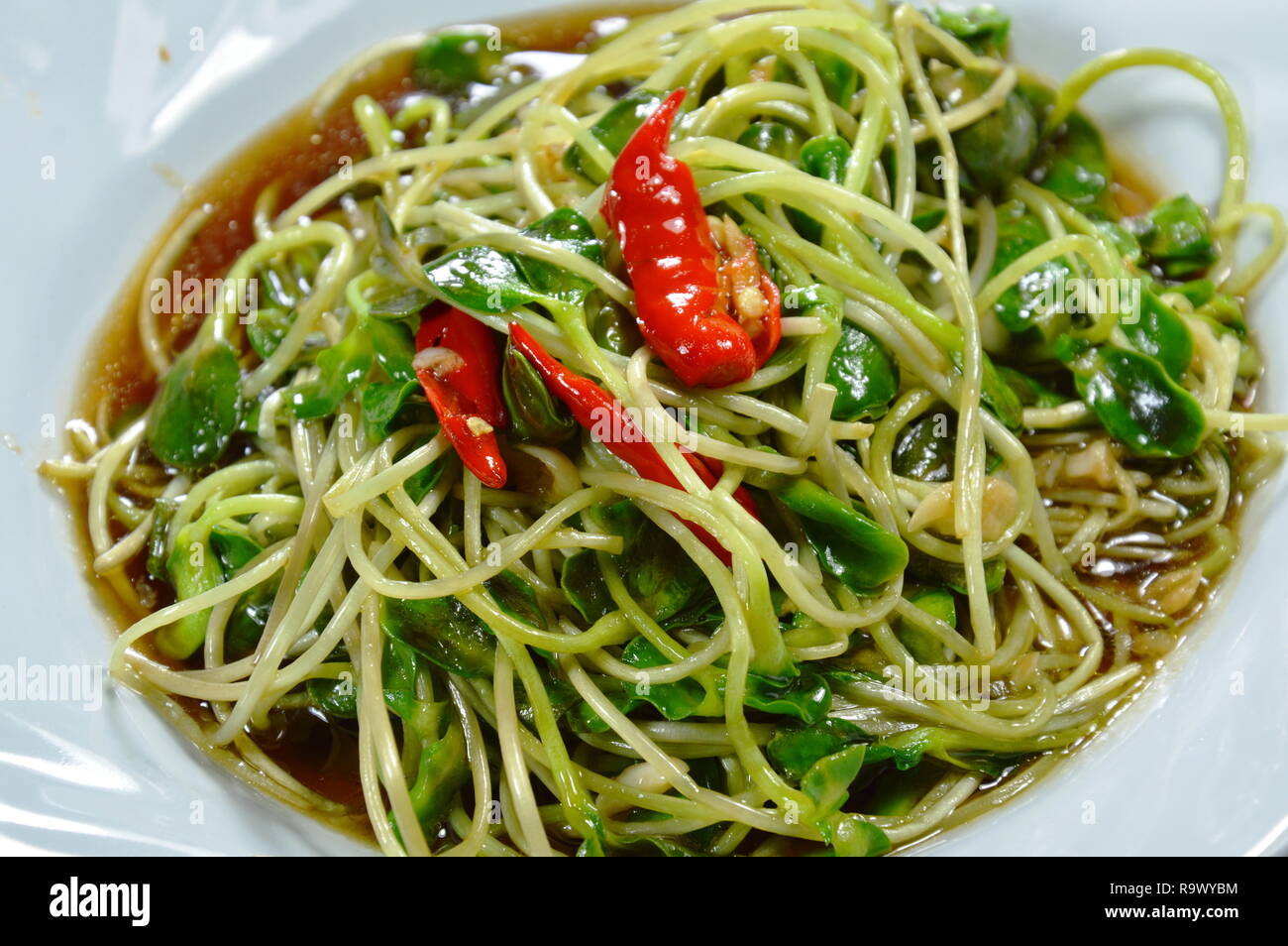 Sunflower Sprouts Recipe
