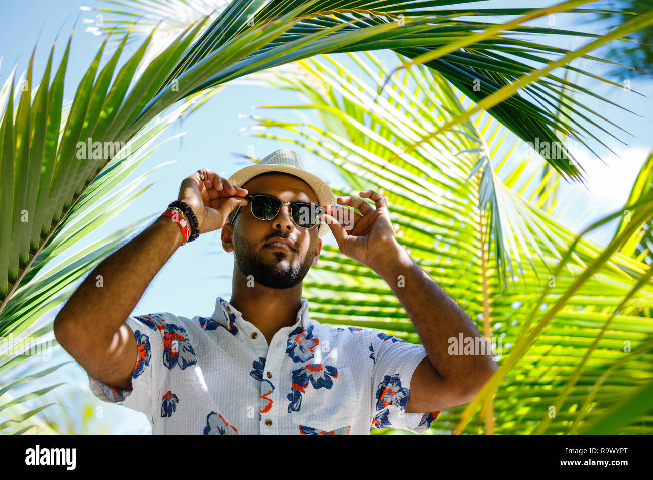 Bearded palm tree hi-res stock photography and images - Alamy