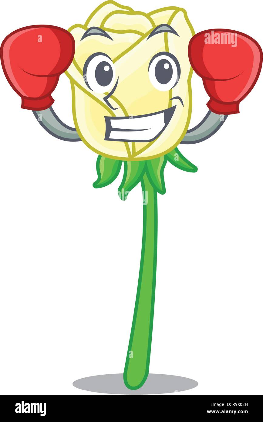 Boxing white rose in the shape cartoon Stock Vector Image & Art - Alamy