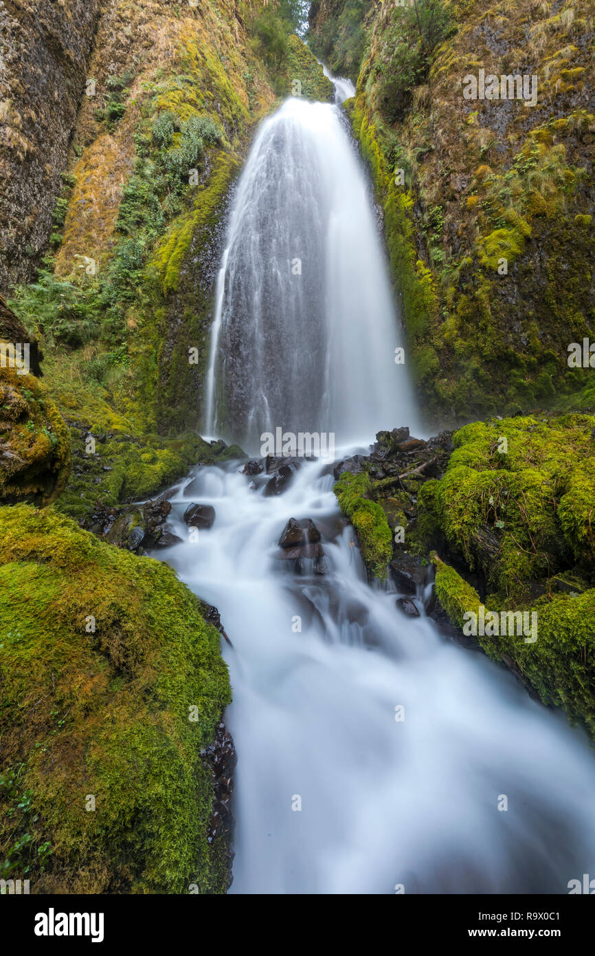 Waterfalls and natural landscape is amazing of Portland, Oregon, OR ...