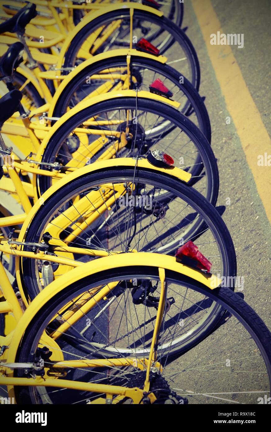 yellow bicycles for the bike rental system in the city called bike ...