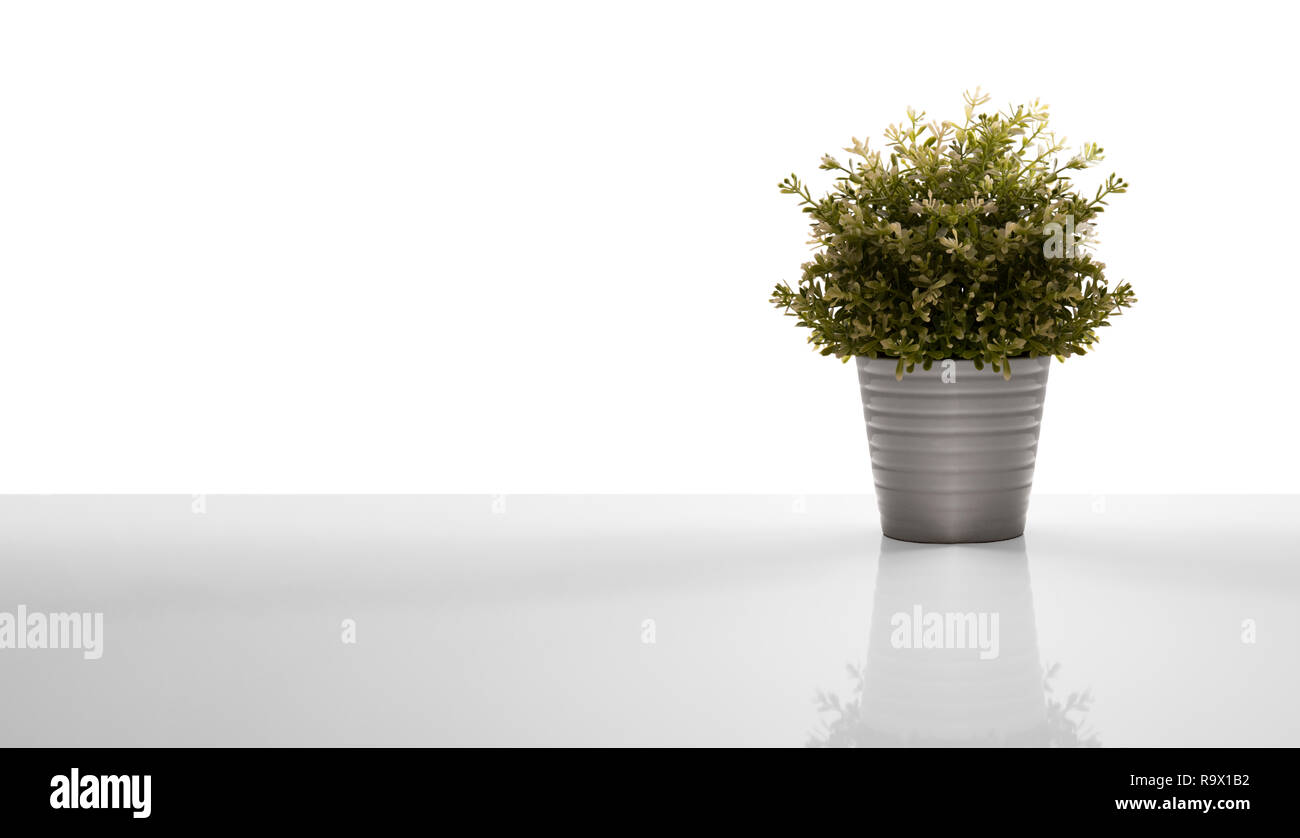 Grey plant pot hi-res stock photography and images - Alamy
