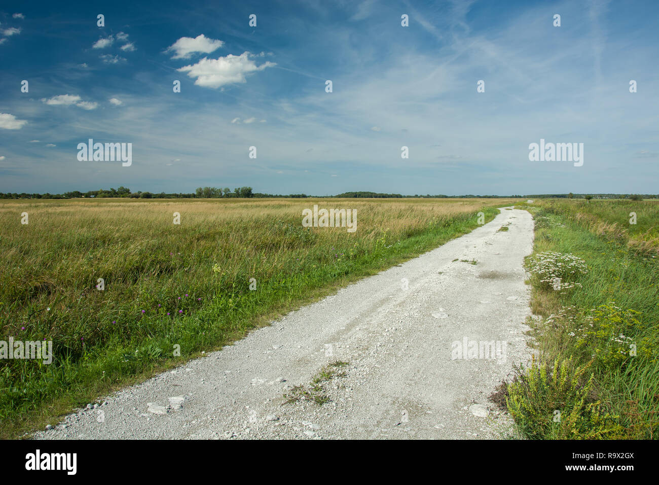 Pebble road through wild meadow, horizon and white clouds on blue sky ...