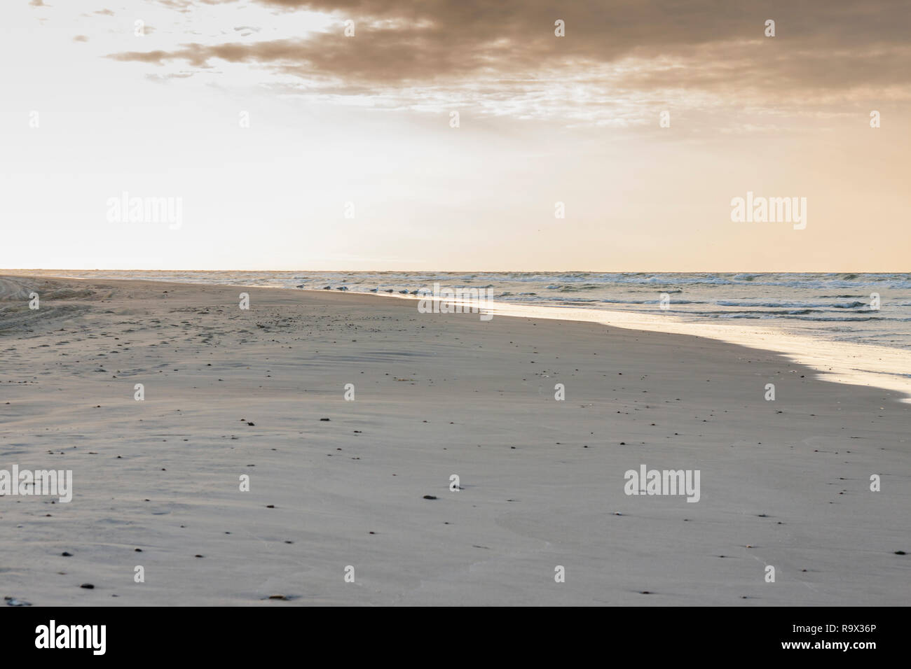 Beach next to Skagen in the northern part of Denmark Stock Photo - Alamy