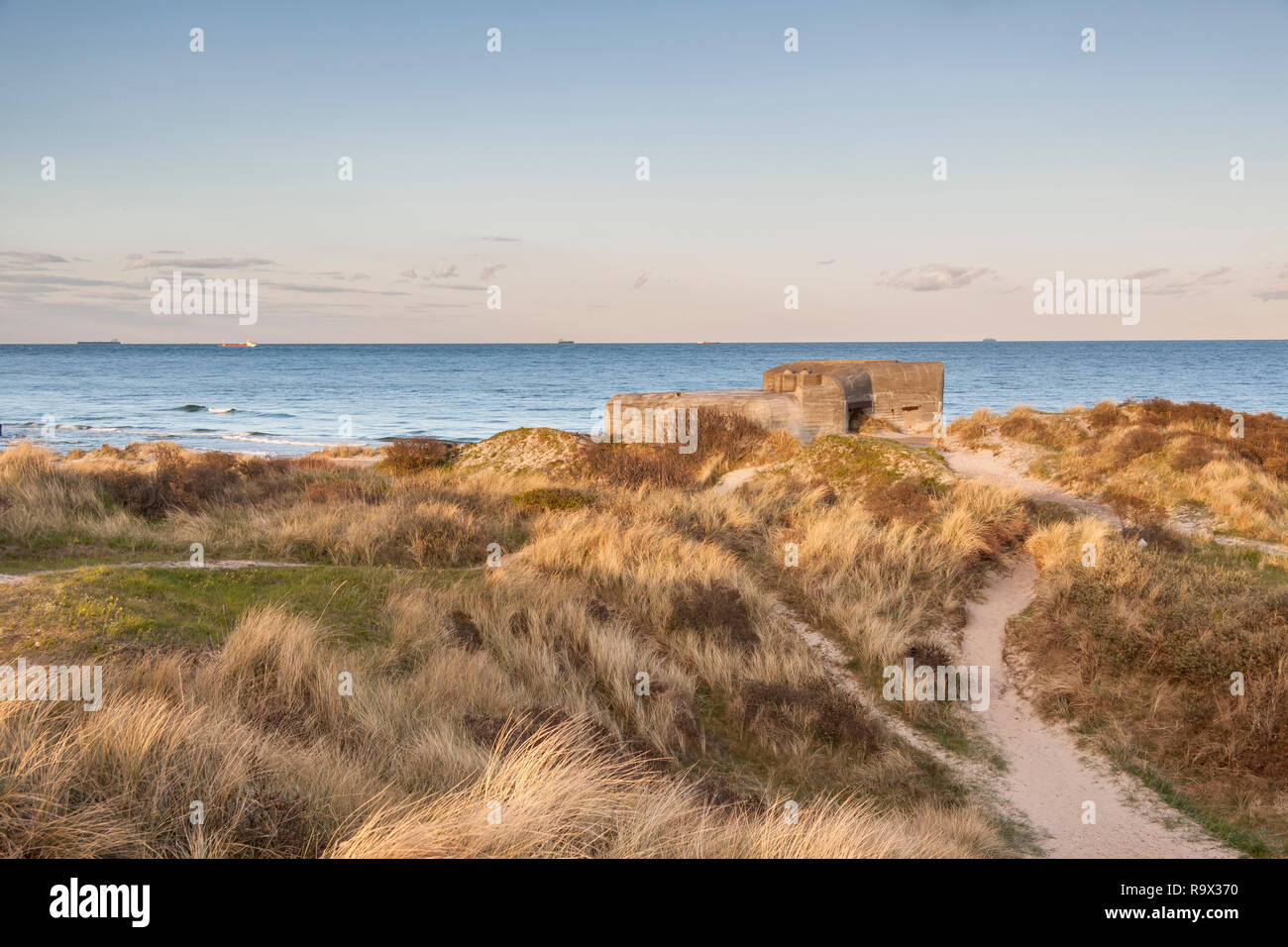 Beach next to Skagen in the northern part of Denmark Stock Photo - Alamy