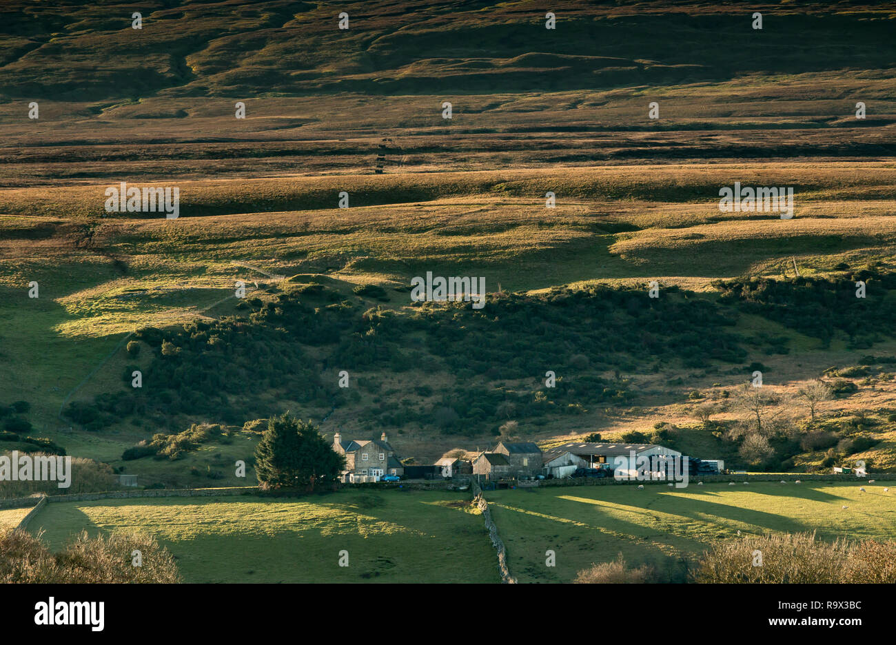 North Pennines AONB landscape, Hield House farm, Holwick, Teesdale ...